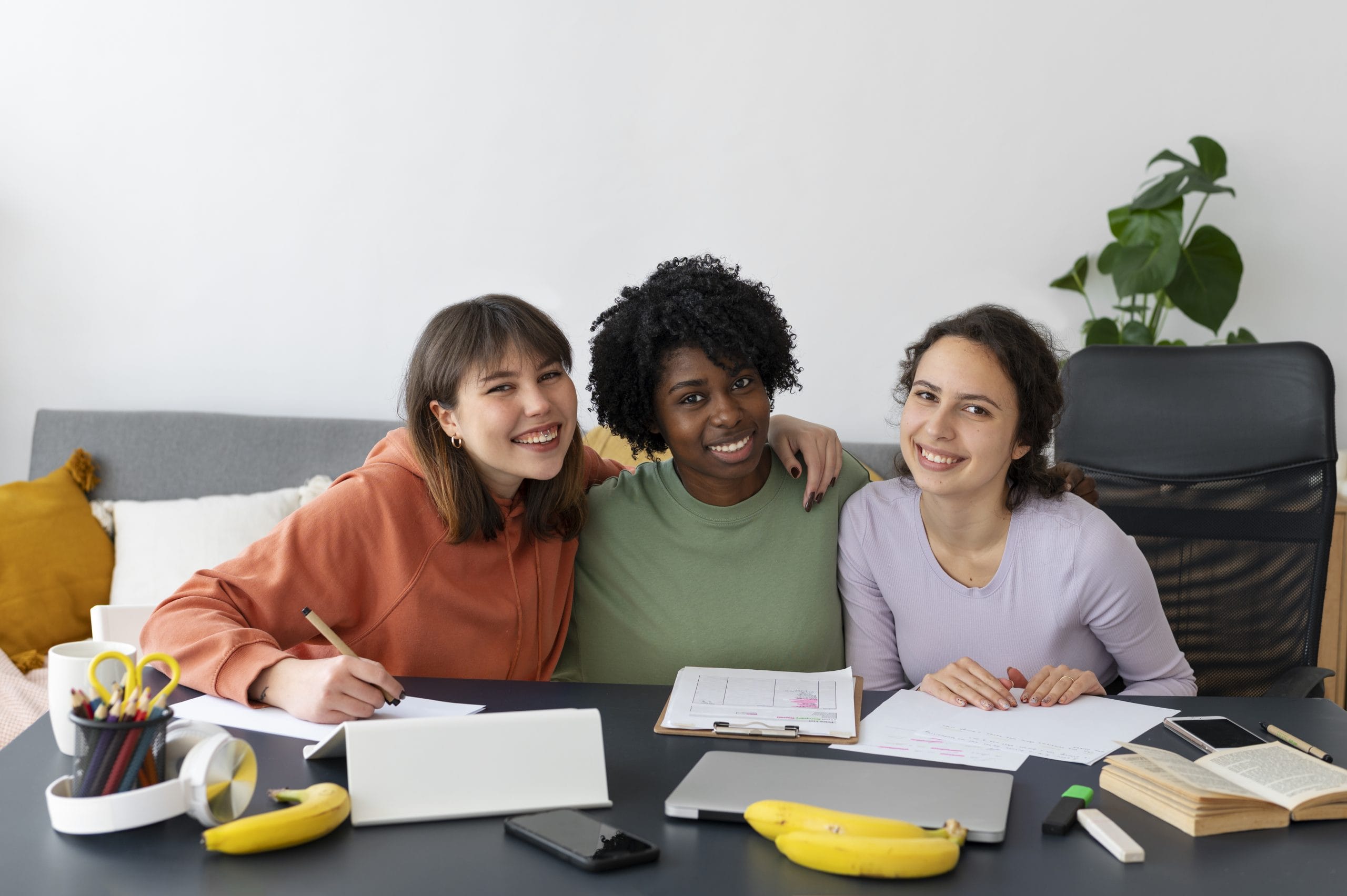 École de marketing international France-Asie - ISMAC